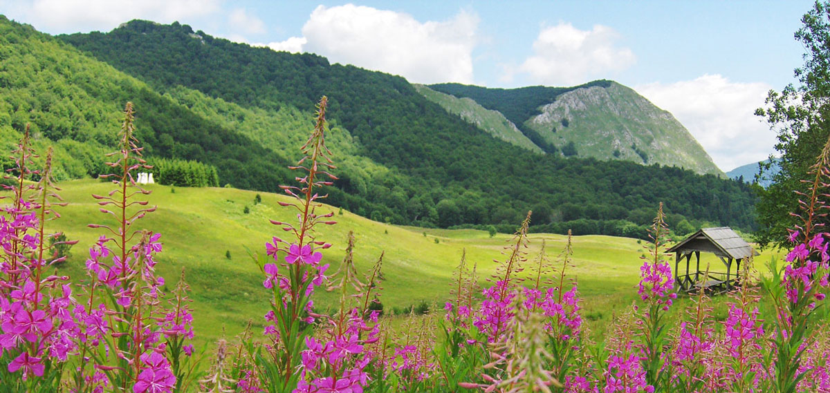 Planine Bosne i Hercegovine – PLANINARENJE sa Bracom Babićem