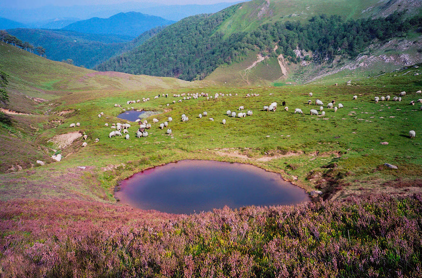 Planinska grupa Vranica – planinarska karta – PLANINARENJE sa Bracom ...