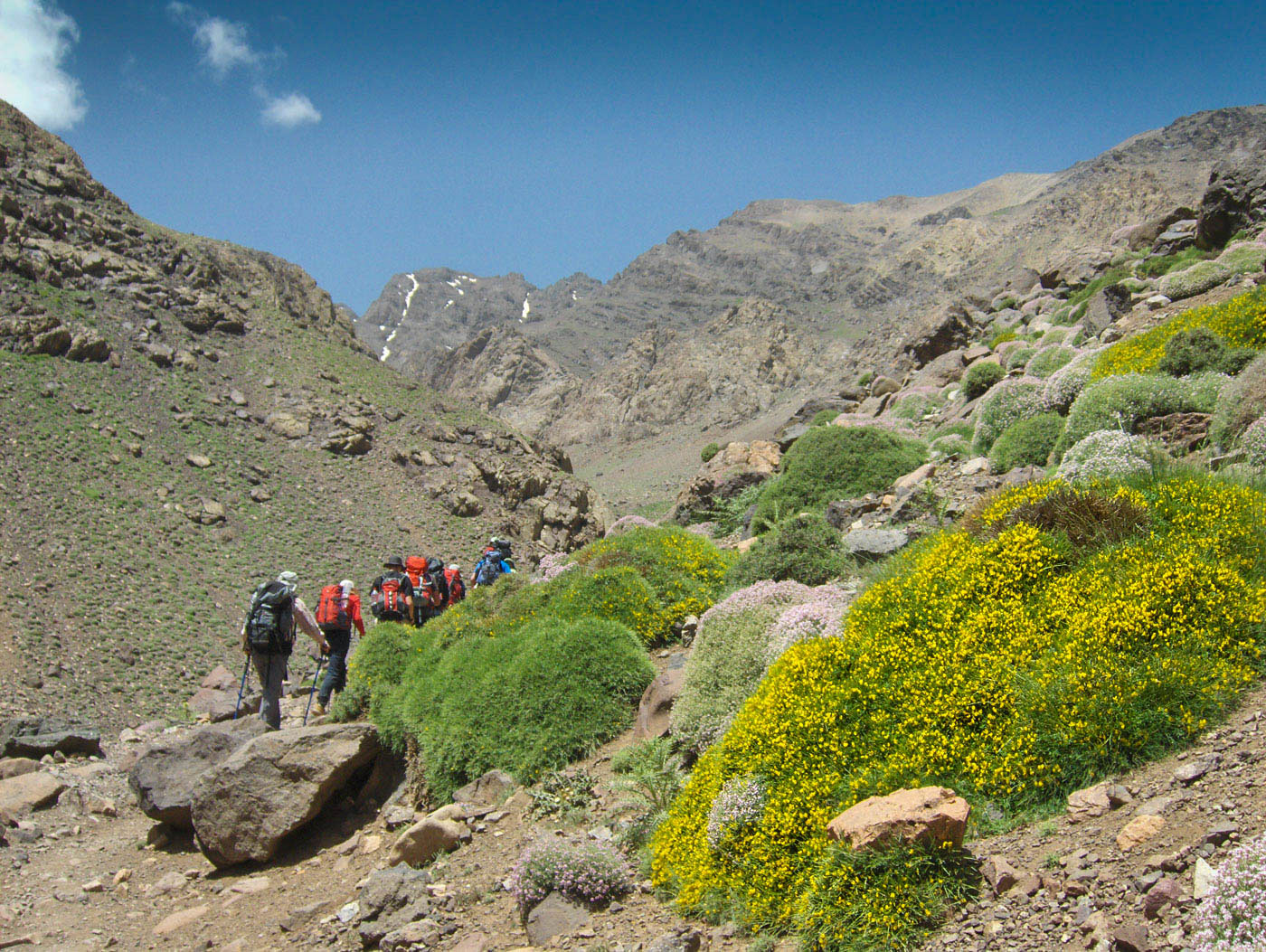 Atlas Mountains / High Atlas – Morocco – PLANINARENJE sa Bracom Babićem