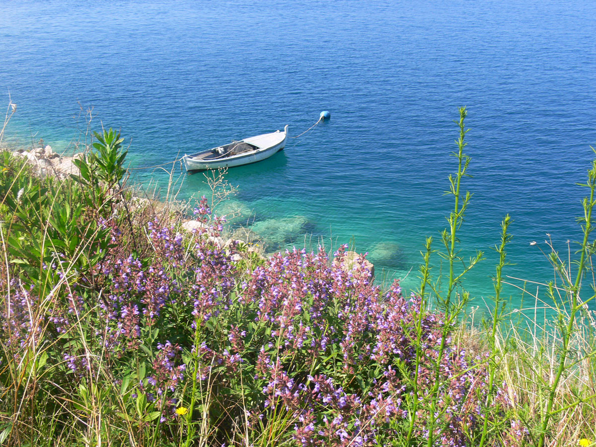 Mljet – “Zeleni otok” – PLANINARENJE sa Bracom Babićem