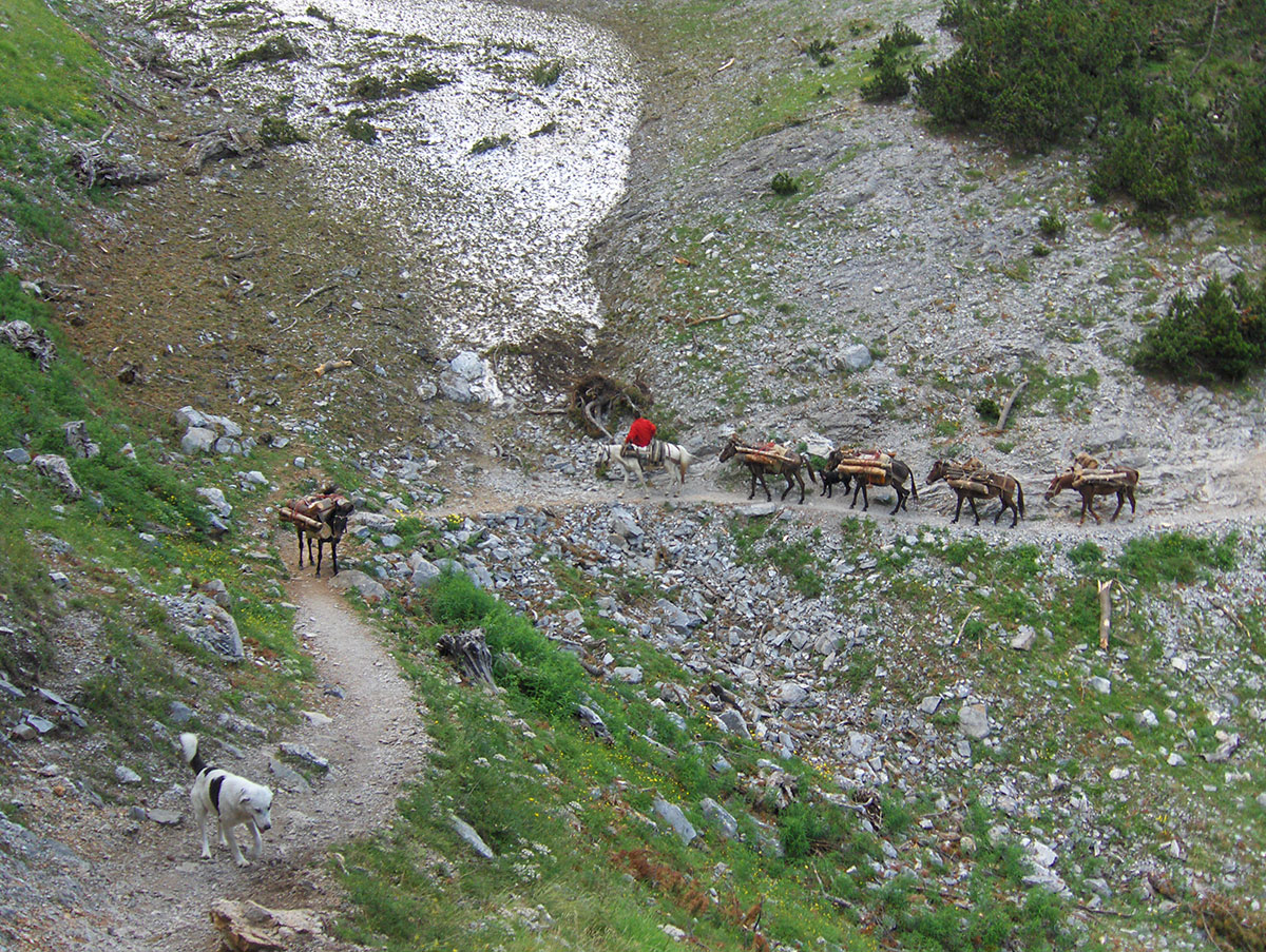 Olimp, vrh Mitikas – “Planina bogova” – PLANINARENJE sa Bracom Babićem
