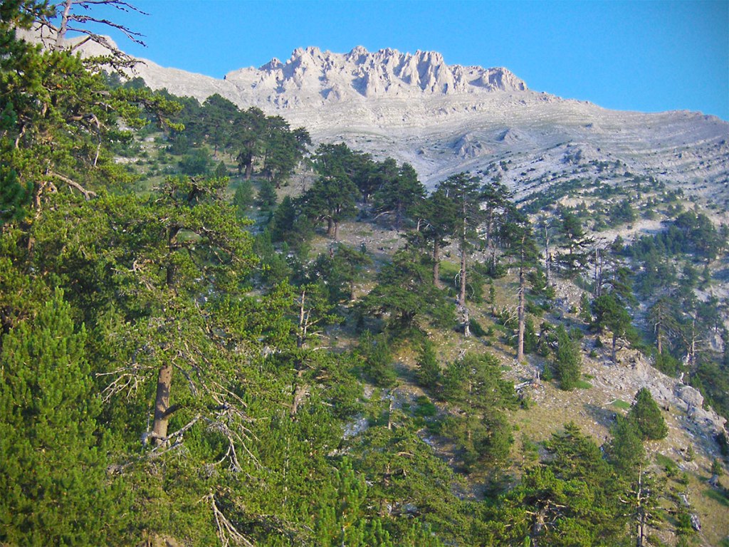 Olimp, vrh Mitikas – “Planina bogova” – PLANINARENJE sa Bracom Babićem
