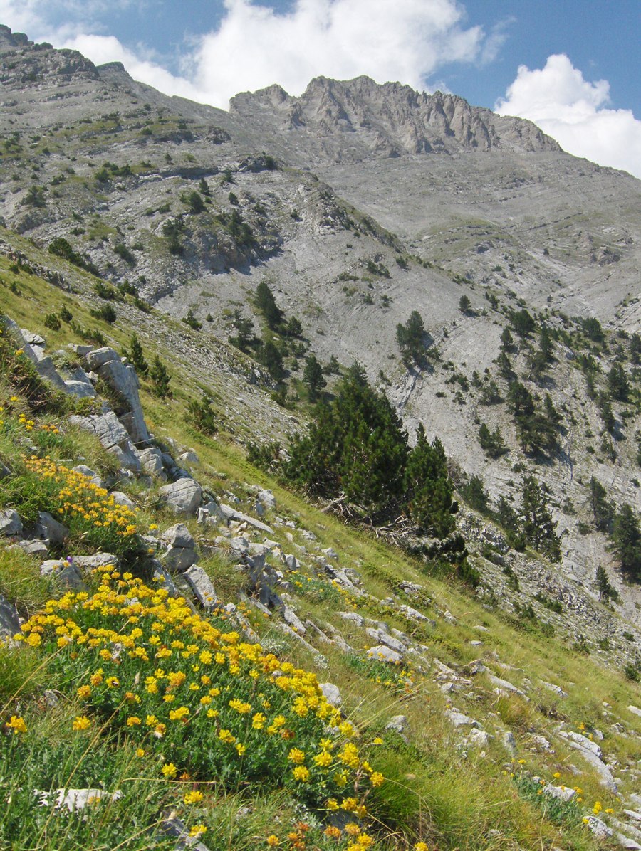 Olimp, vrh Mitikas – “Planina bogova” – PLANINARENJE sa Bracom Babićem