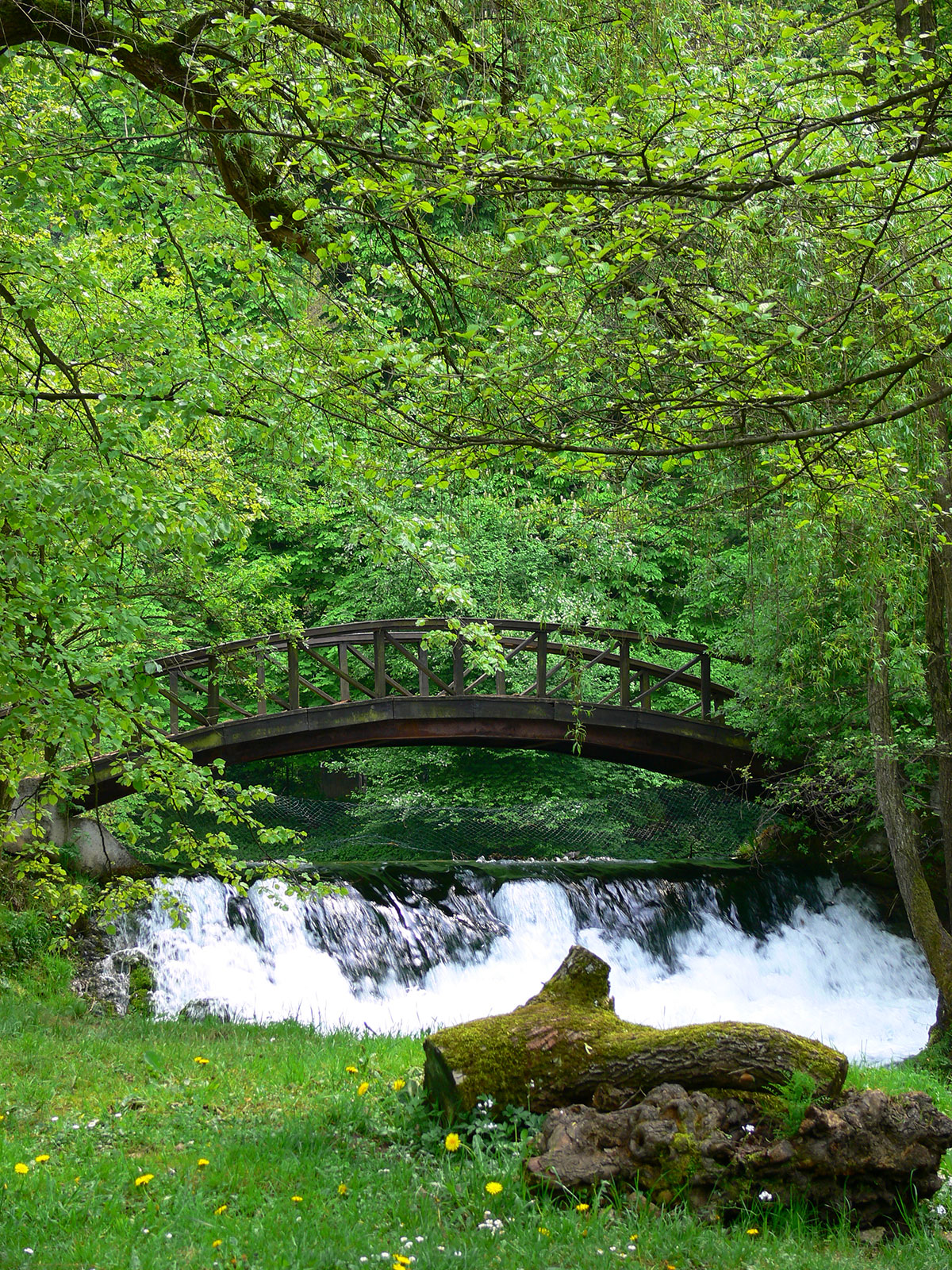 Spomenik prirode “Vrelo Bosne” – PLANINARENJE sa Bracom Babićem