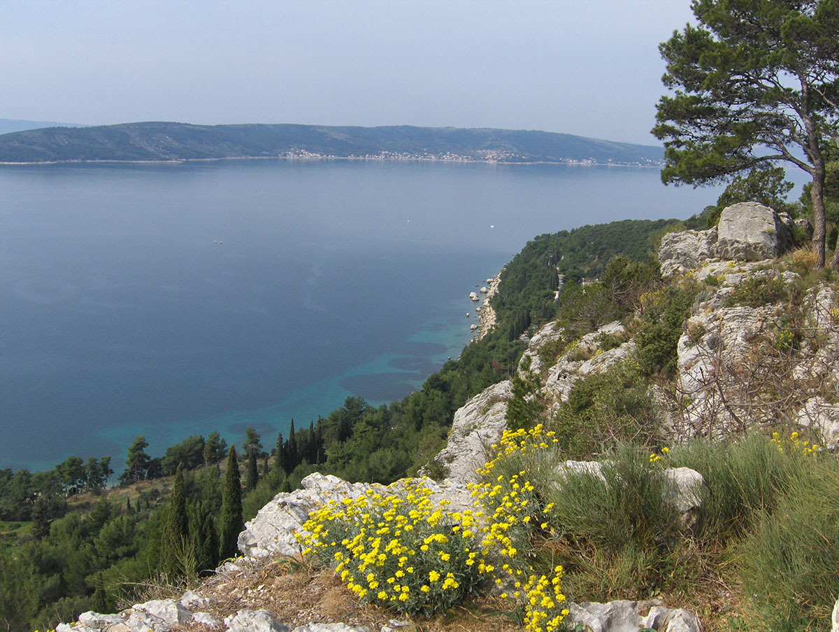 Park-šuma Marjan u Splitu – PLANINARENJE sa Bracom Babićem