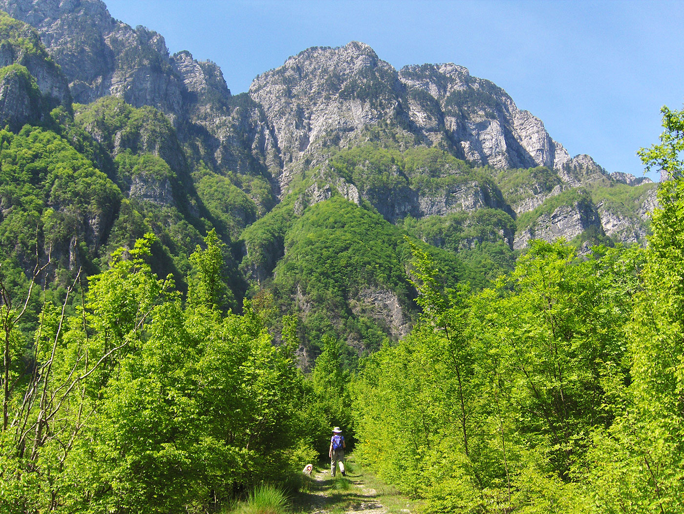 PLANINARENJE sa Bracom Babićem