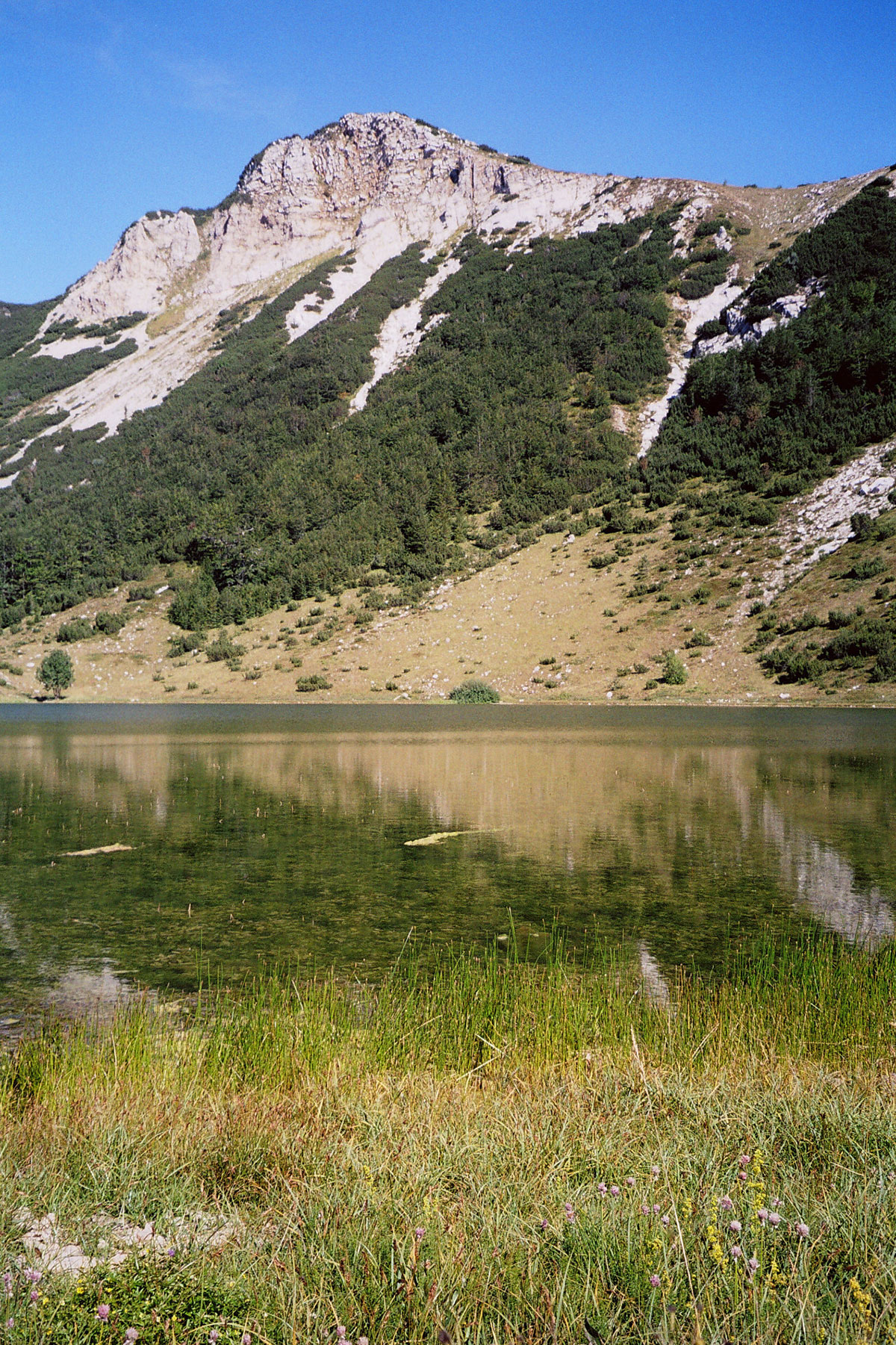 Šatorsko jezero na Šator-planini – PLANINARENJE sa Bracom Babićem