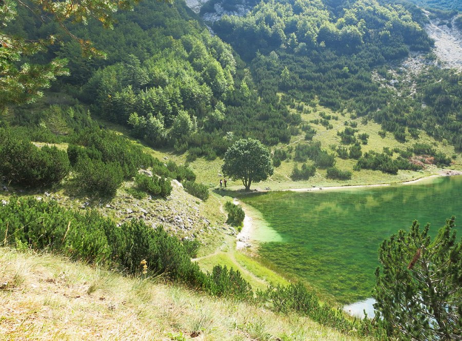 Šatorsko jezero na Šator-planini – PLANINARENJE sa Bracom Babićem