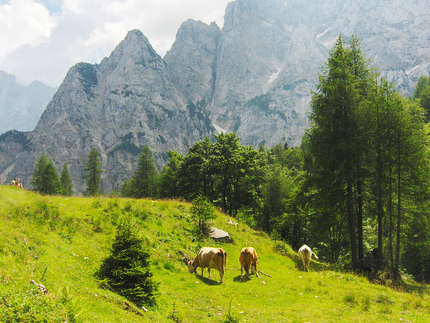 Klek – ”Carstvo vještica” – PLANINARENJE sa Bracom Babićem